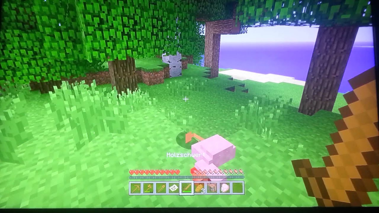 Lets Play Minecraft #01 "Oink Oink" - YouTube