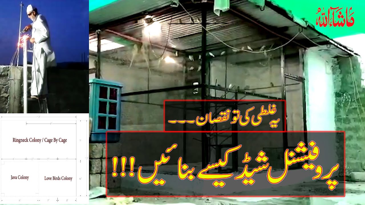 How to Make a Professional Birds Shed - YouTube