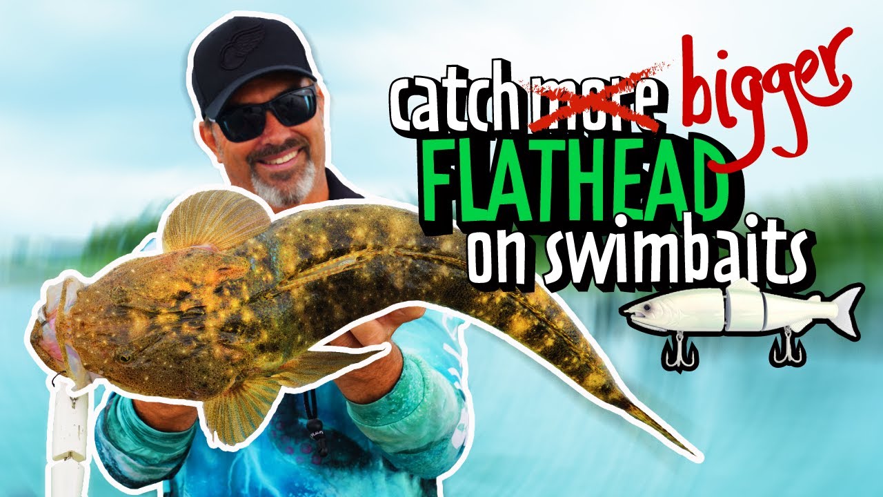 Hunting a Metre Flathead on the Gold Coast - YouTube