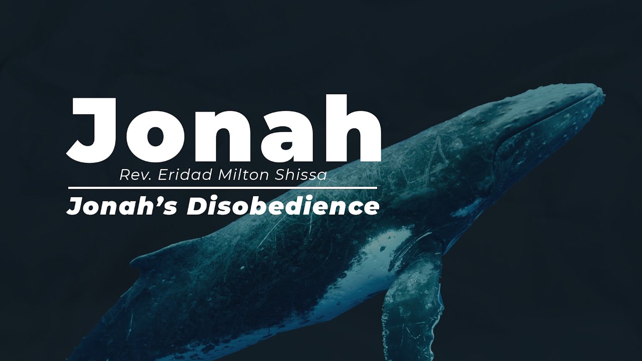 Jonah, Jonah’s Disobedience (Bible Character Study) || Finding God Ep ...