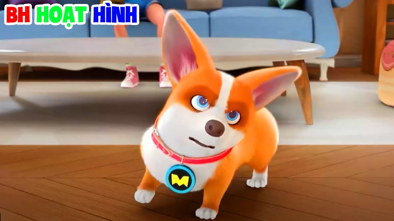 [ Special ] Cười Vỡ Bụng Cùng CHÚ CHÓ MOCO - Chó Cũng Bị Vẹo Cổ - Hoạt ...