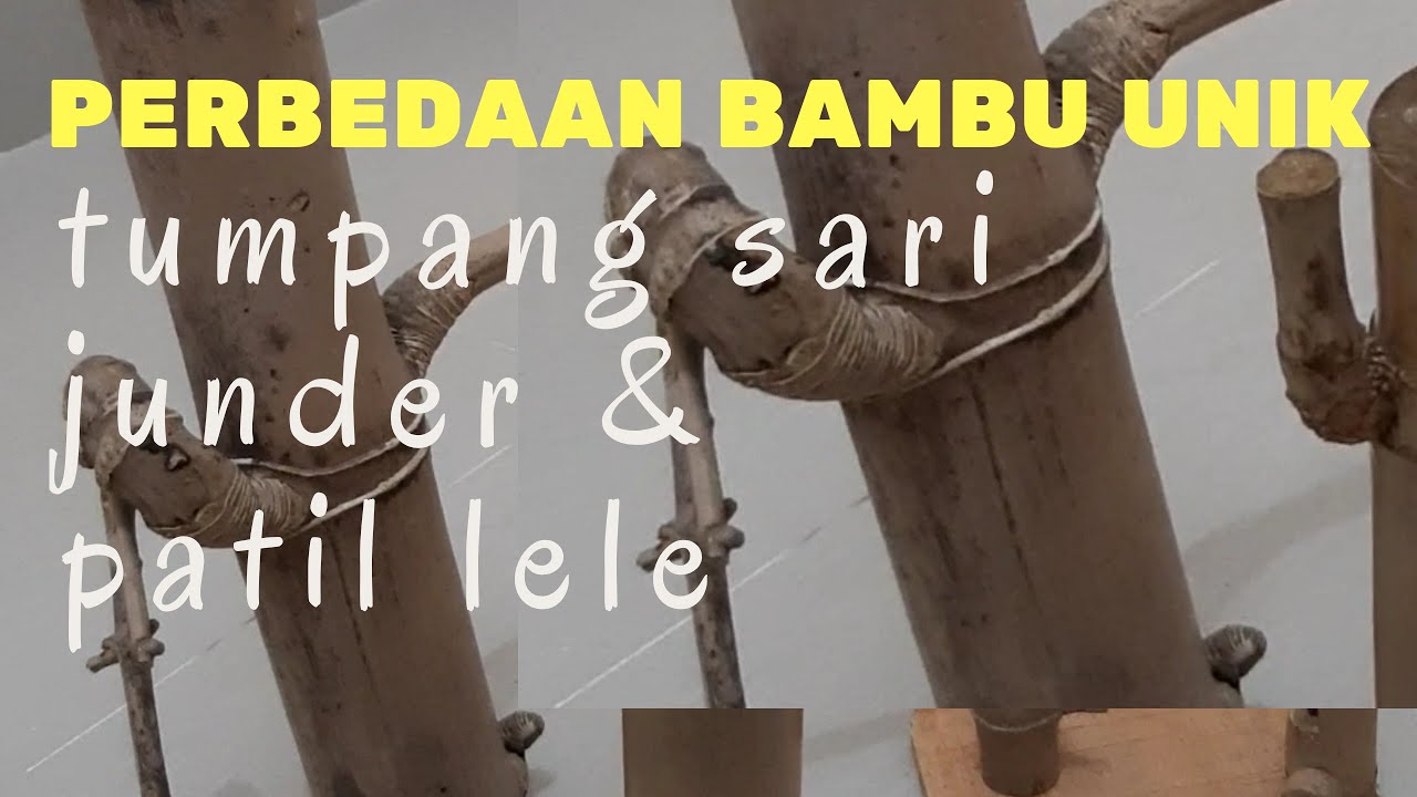 Bambu tumpang sari,junder dan patil lele || perbedaan dan contohnya ...