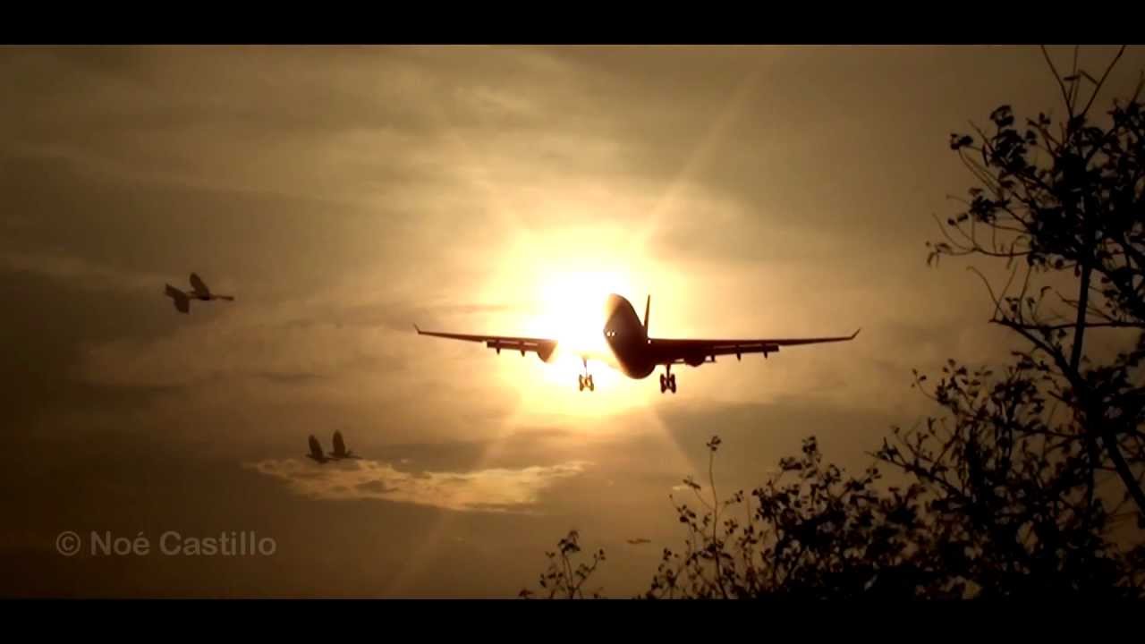 We Love Aviation - Amor por la Aviación - YouTube