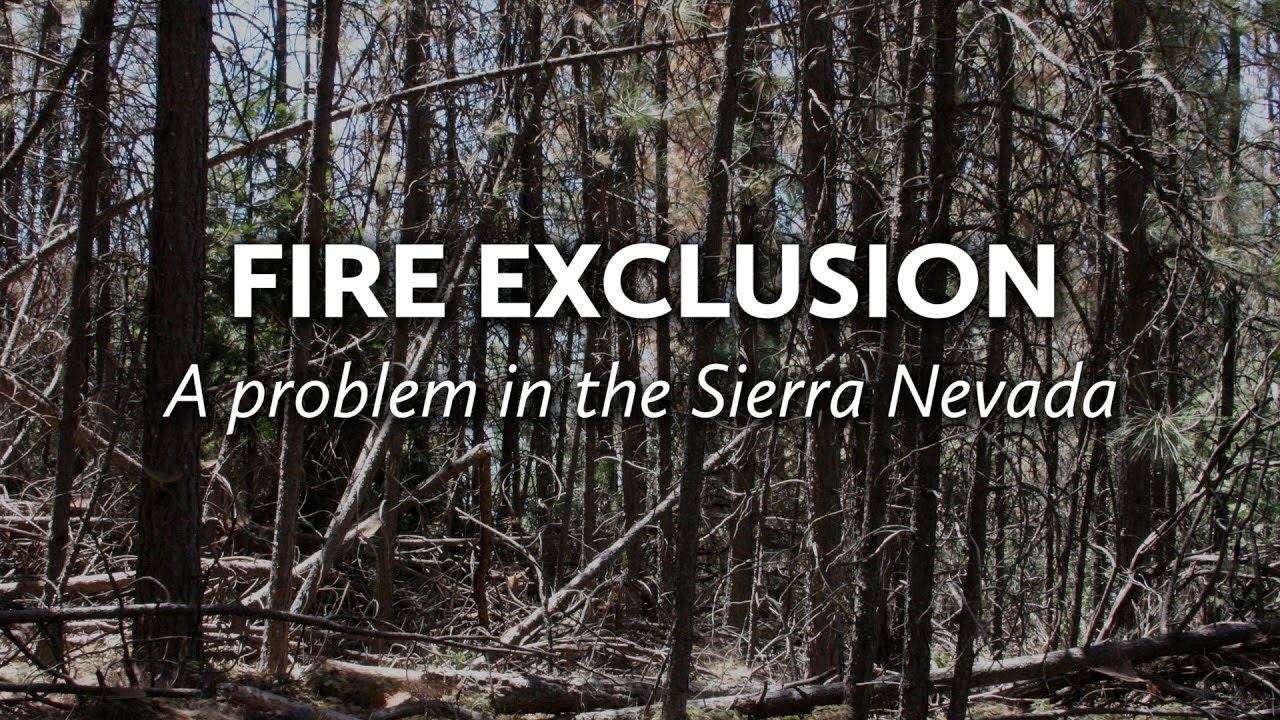Fire Exclusion: A Problem in the Sierra Nevada - YouTube