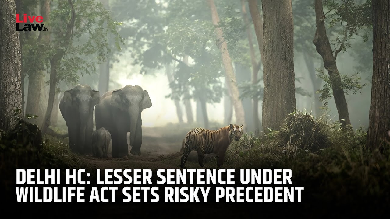 Awarding Less Than Min Prescribed Sentence Under Wildlife Protection ...