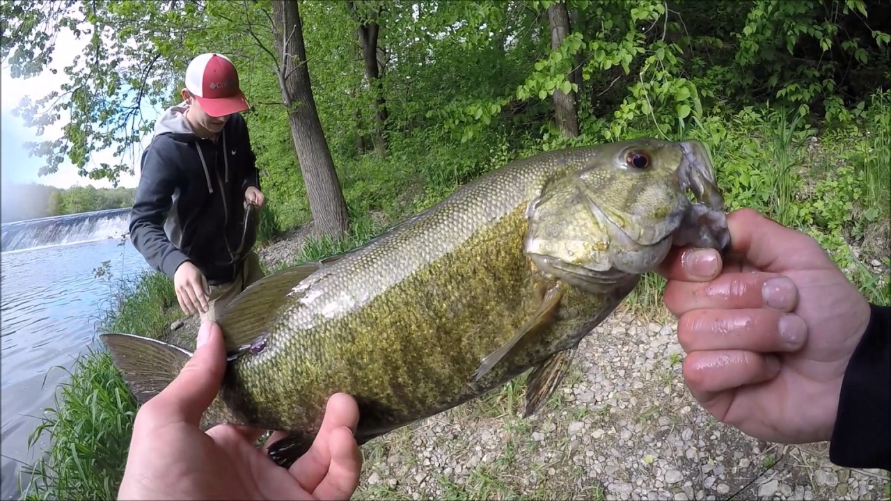 Spring Smallmouth Fishing - YouTube