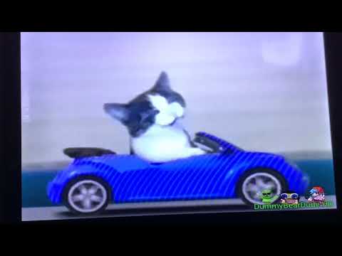 Preview 2 Numa Cats V3 Effects (Preview 2 Effects) Reversed