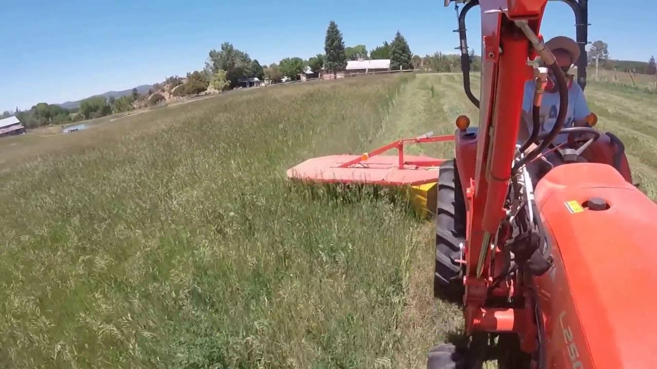 Kubota L2501HST with Tar River BDR-165 5'5" Drum Mower cutting grass ...