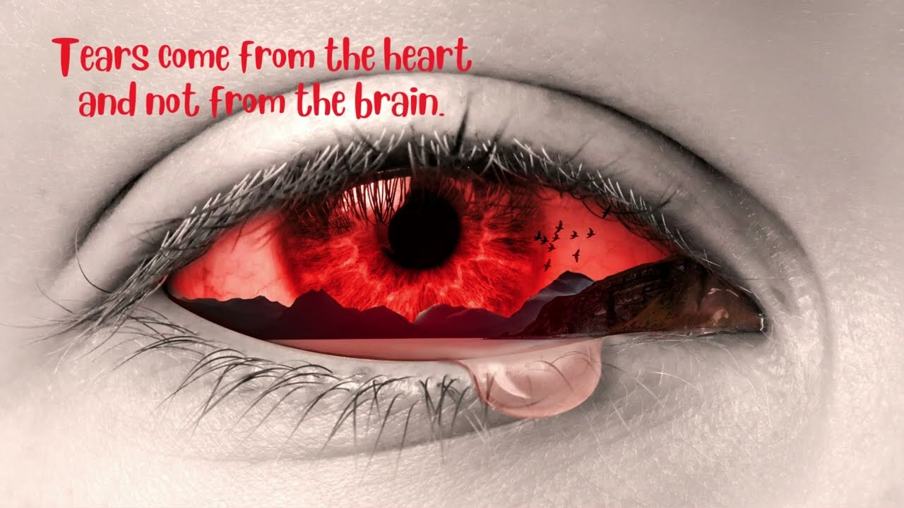 I am tired of the life || sad whatsapp status can't take it more ...