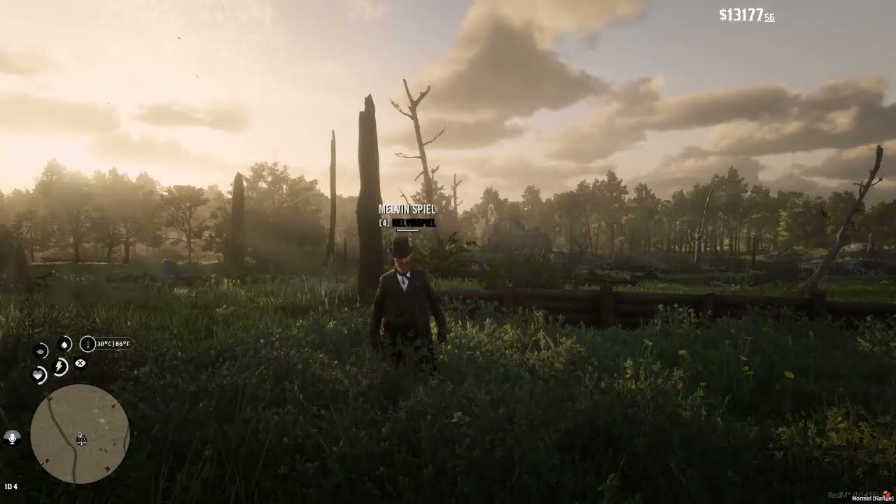 Red dead Roleplay staff/Admin commands/menu [tutorial][redm] - YouTube