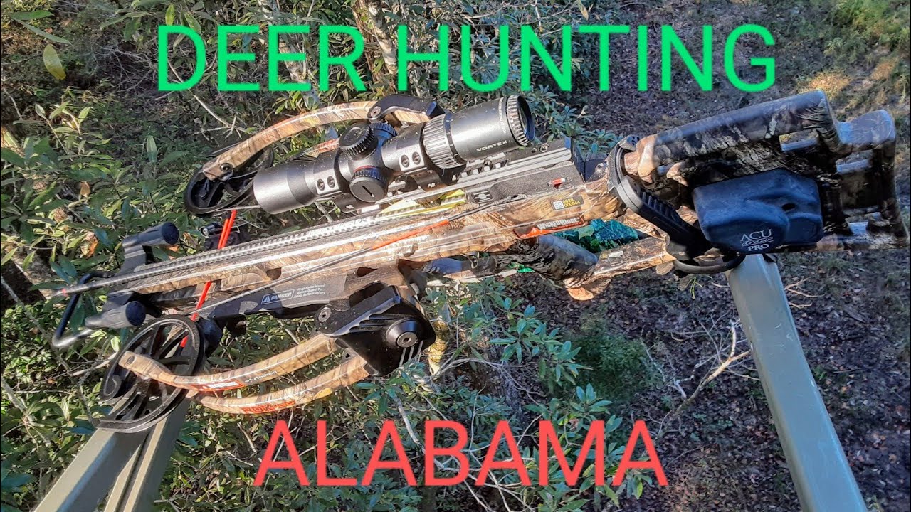 Alabama early Season DEER HUNTING on Public Land - YouTube