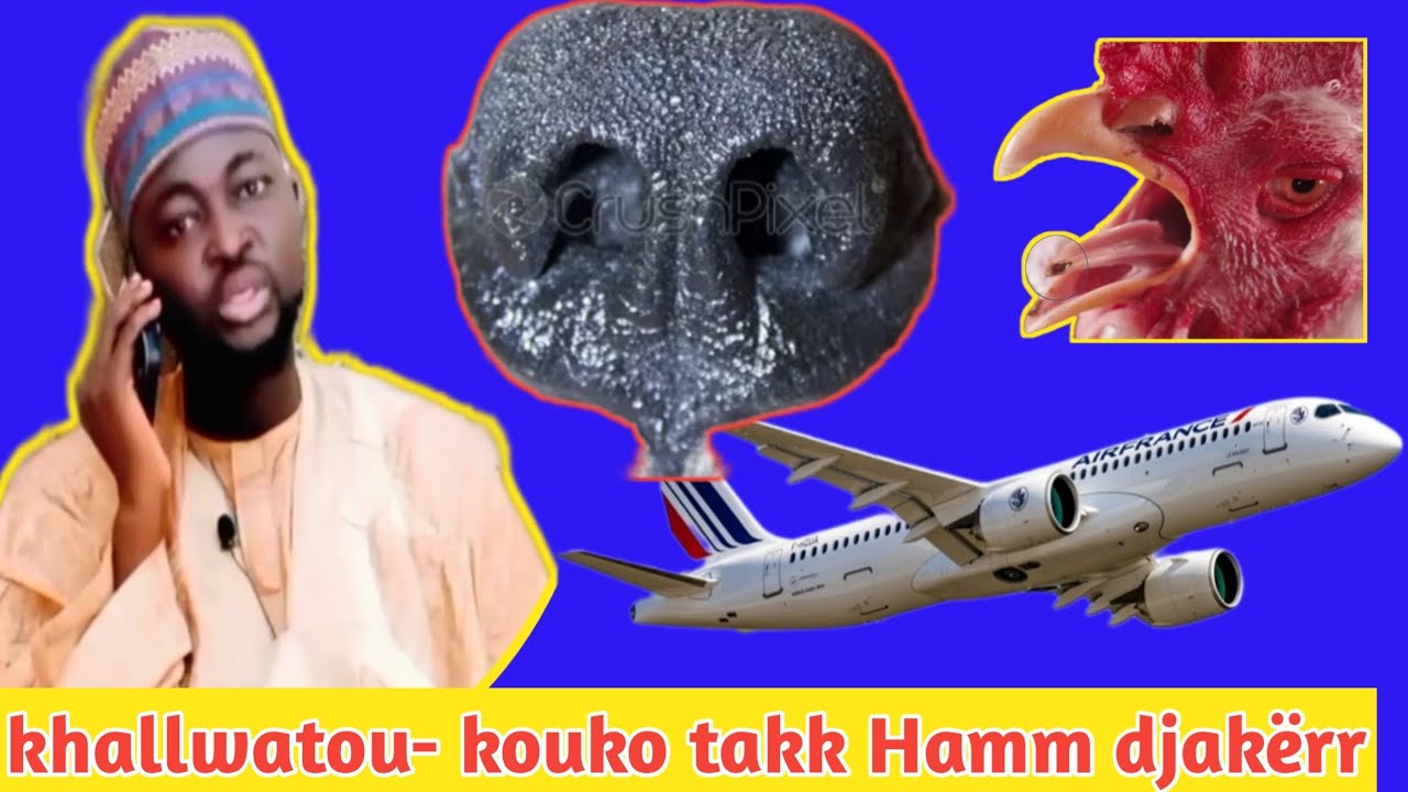 🚨👉lii koko déff mou toppou la ni khadj Di toppé boromm🙆🙆 - YouTube