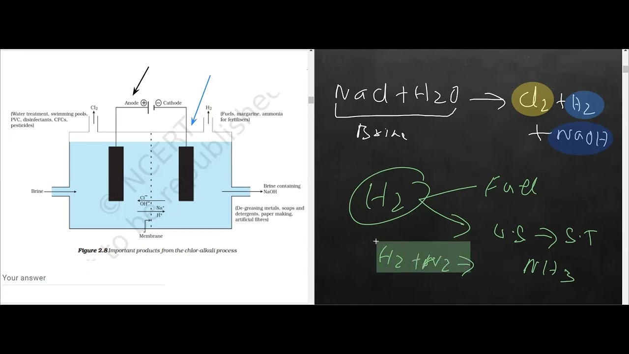 Important products from the chlor-alkali process, #scienceclass10 - YouTube