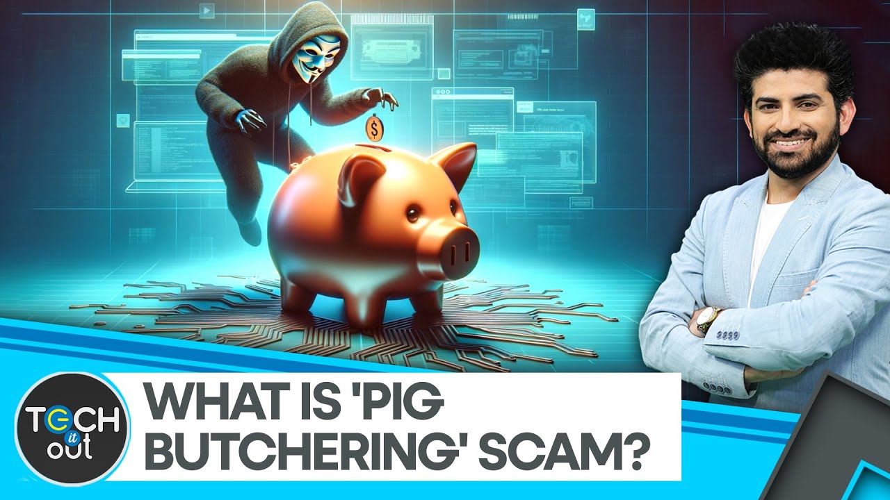 Explained: Pig butchering scam | Tech It Out - YouTube