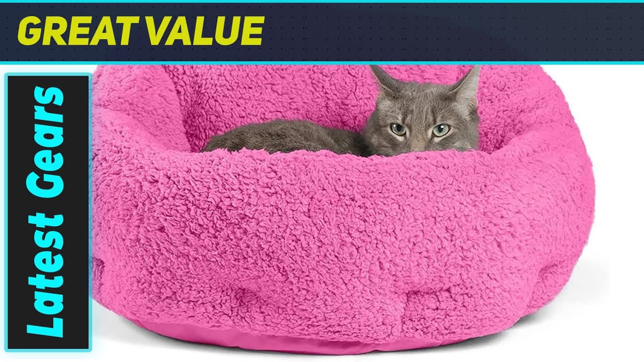 reviewBest Pet Bed for Small Dogs and Cats? Deep Dish Cuddler Test ...