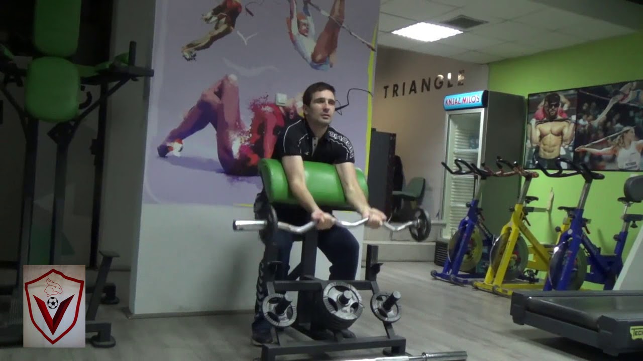 SCOTT BENCH BICEPS CURLS - HQ Strength Drill! - YouTube