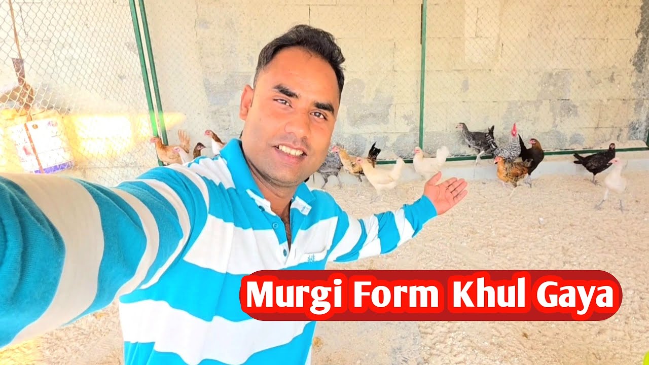 Murgi Form Khul Gaya Sameem Vlog Bhulplendar Vlog - YouTube