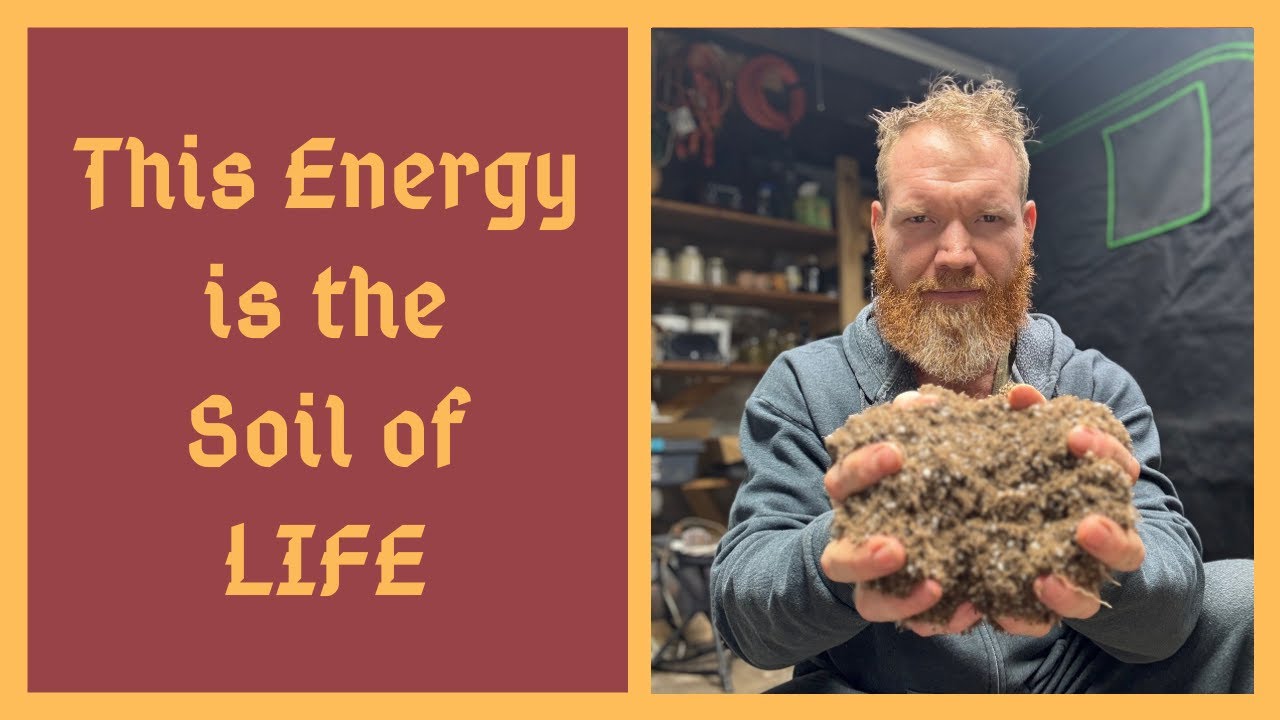 Sunday Thrive Live! - What is Life Force Energy and How Can I Use It ...