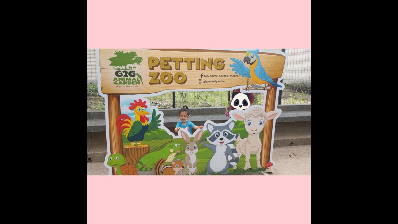 Visiting farm animals| Pony ride | Fun Activities for Kids| G2G Petting ...