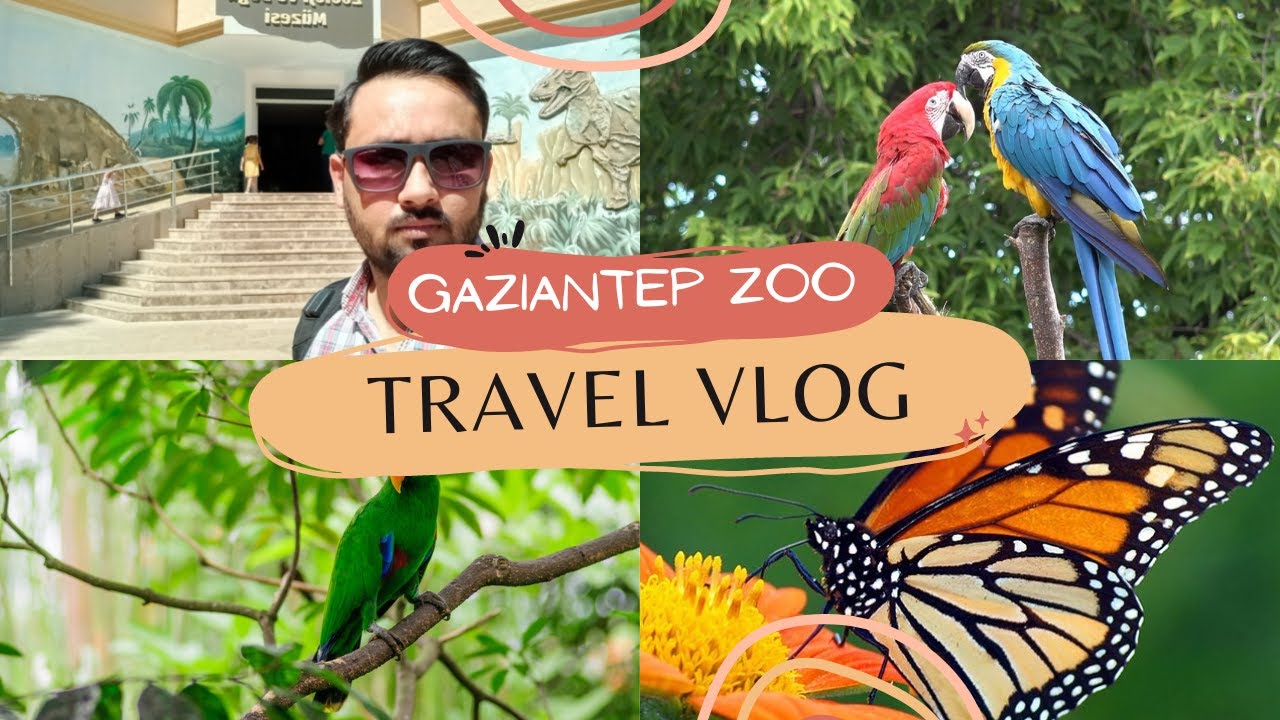 Largest Zoo of the Europe & Turkey - The Gaziantep Zoo | Episode: 03 ...