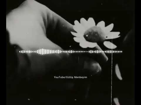 Whatsapp Statusları, MƏNALI statuslar, Status Ücün Videolar, QEMLİ WHATSAPP STATUSLARI 2021