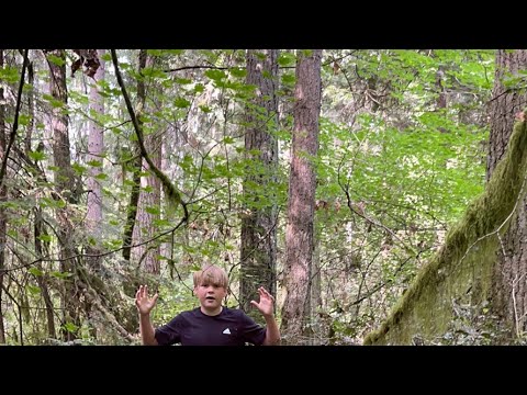 IRL STREAM IN A FOREST! - YouTube