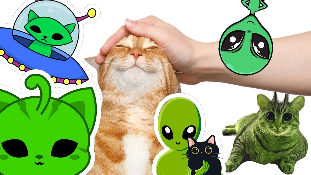 They're everywhere! | 100 Alien cats - YouTube