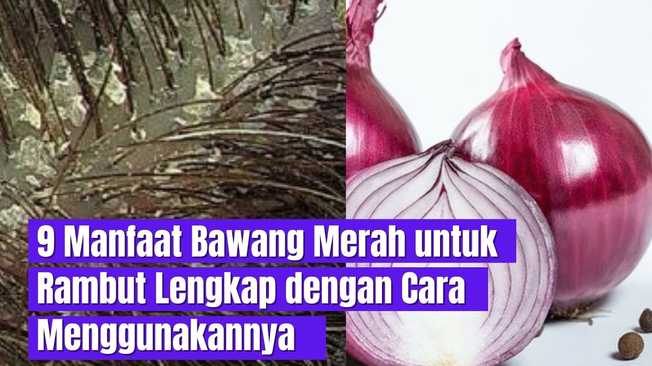 9 Manfaat Bawang Merah untuk Rambut Lengkap dengan Cara Menggunakannya ...