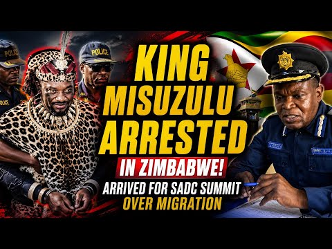 Breaking news:Zimbabwe revenge South Africa Zulu nation after xenophobia attacks 