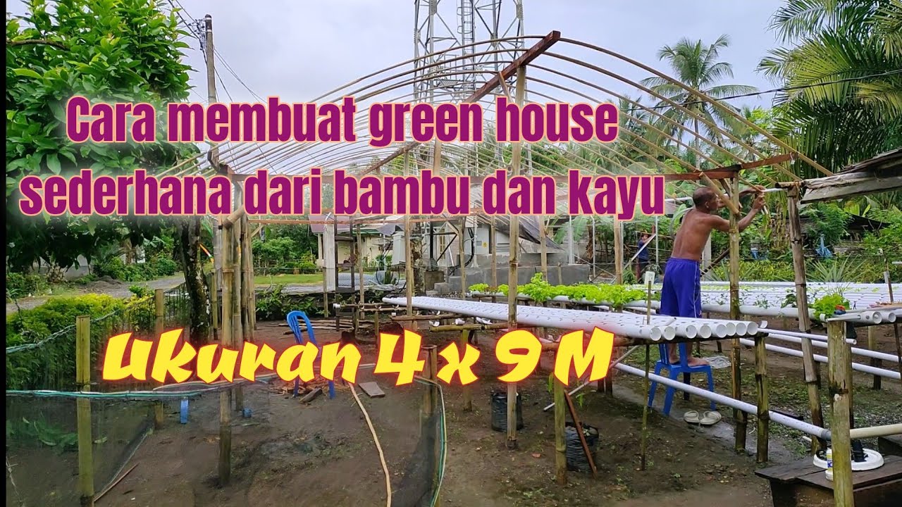 Cara membuat green house menggunakan bambu dan kayu II Green house ...