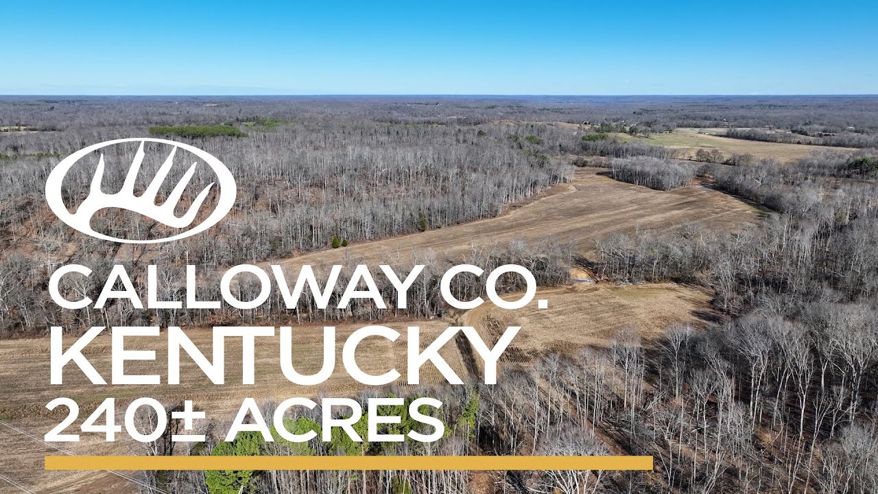 Calloway County, KY 240± acres - YouTube