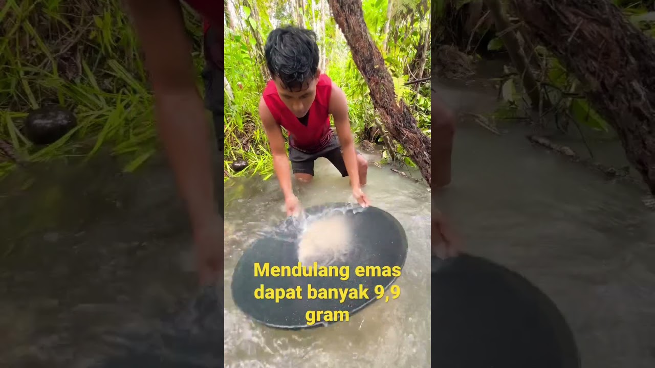 PROSES PENDULANG EMAS DAPAT 9,9 GRAM #shorts #shortvideo - YouTube
