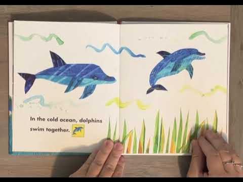 Learn opposites with Eric carle - YouTube