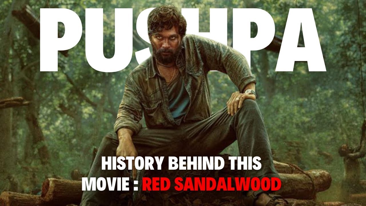 PUSHPA : History behind make this Movie | Red Sandalwood | Allu Arjun ...