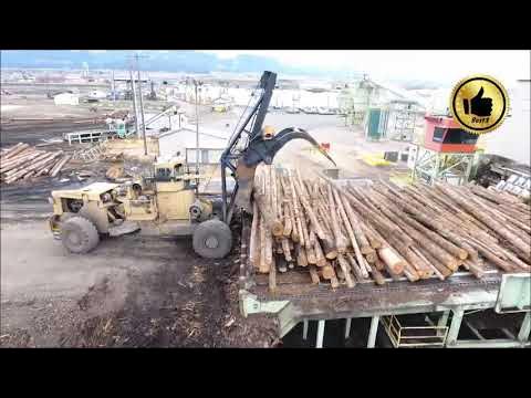 HOW WOOD IS MADE - Amazing Detailed Wood Production Processes - YouTube