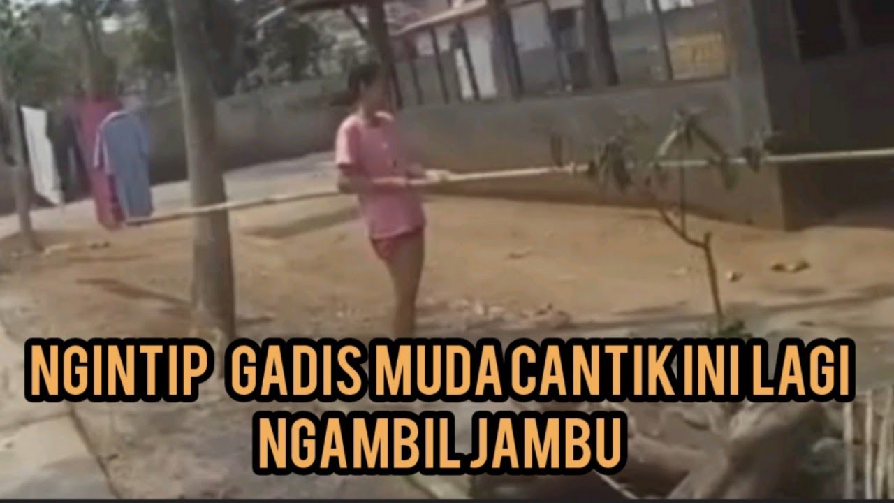 Intip Gadis Desa Lagi Ngambil Jambu Vlog Pedesaan Youtube