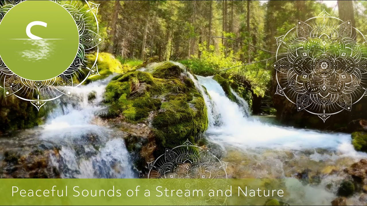 Peaceful Stream Ambience – Relax or Fall Asleep to these Calming sounds ...
