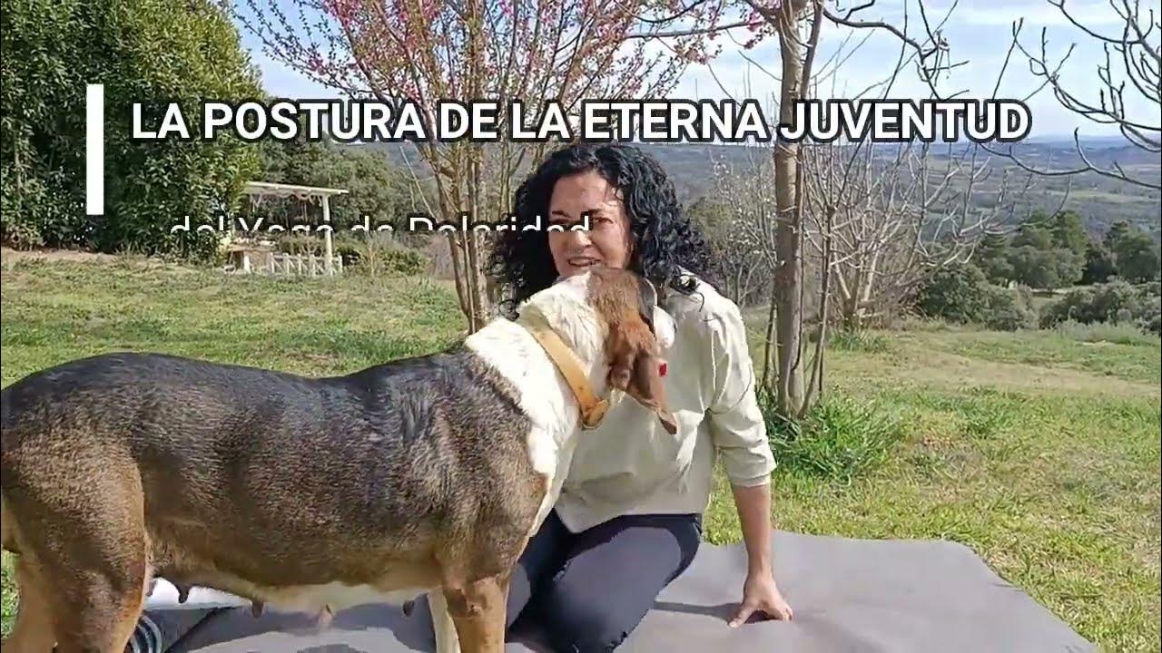 La Postura de la Eterna Juventud del Yoga de Polaridad - YouTube