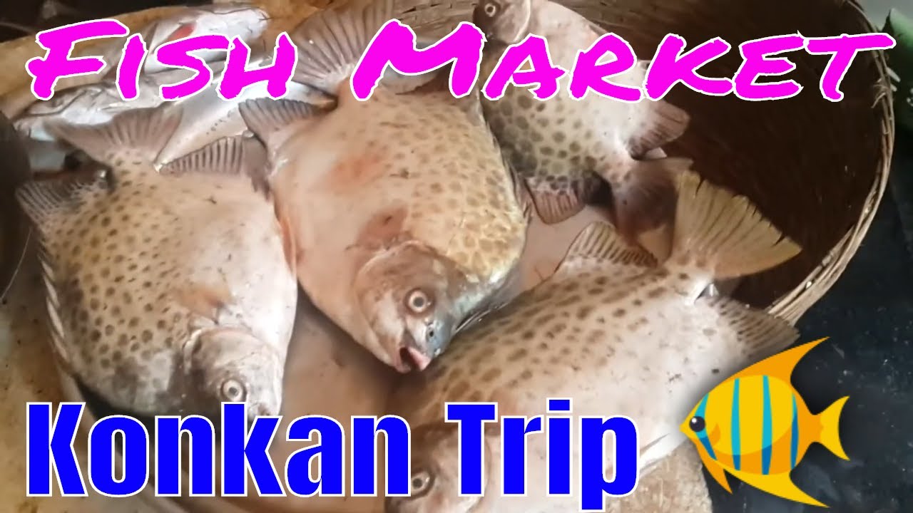 Fish Market | Konkan Trip | Diveagar Fish Market | Diveagar | What A ...
