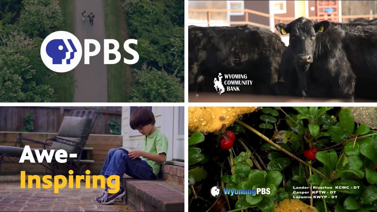 PBS Program Break (2021, KCWC) - YouTube