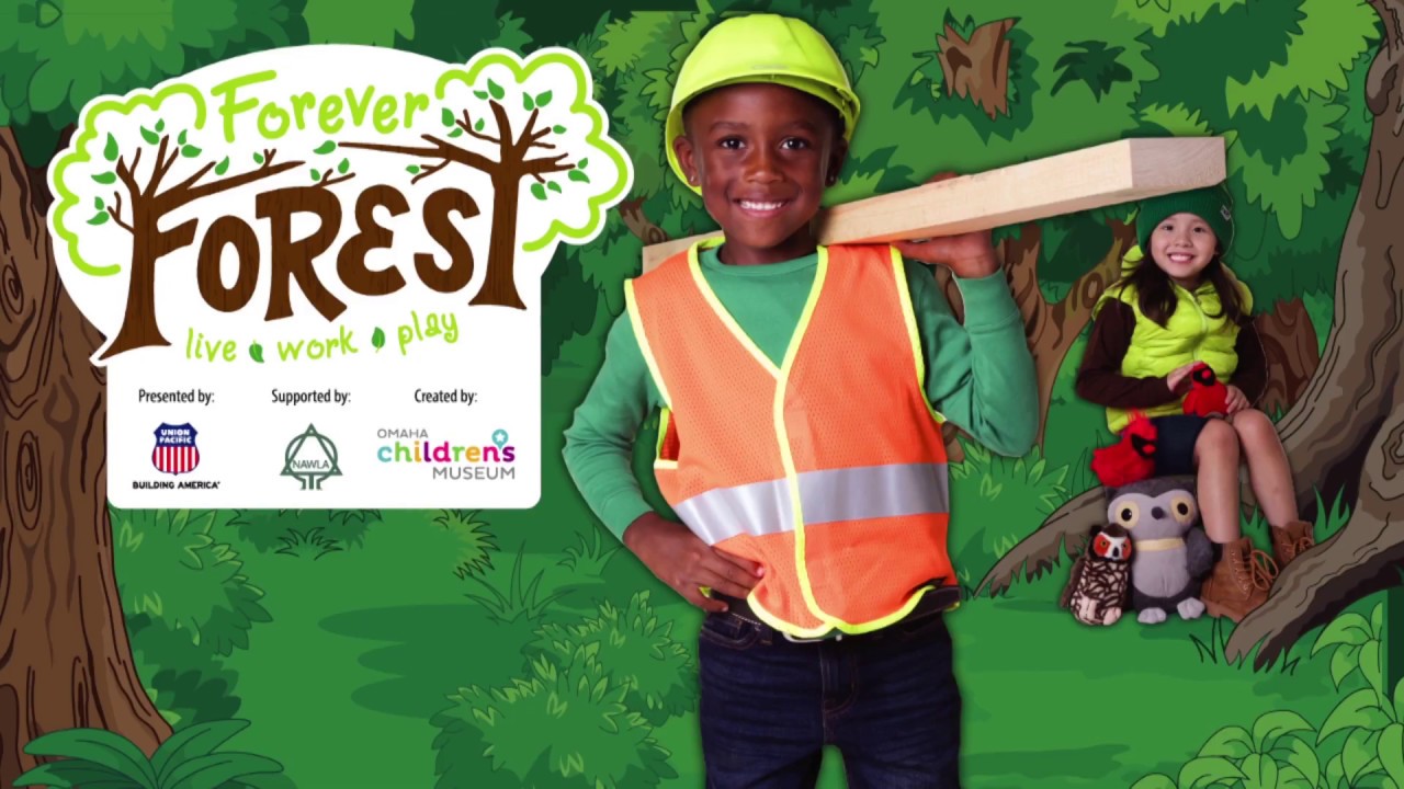 Forever Forest - Purdue Forestry and Natural Resources - YouTube