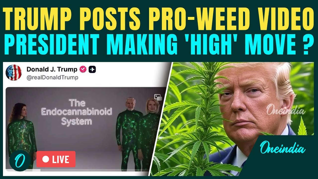 LIVE: Trump Shares Pro-Weed Video | Could Move Marijuana To Schedule 3 ...