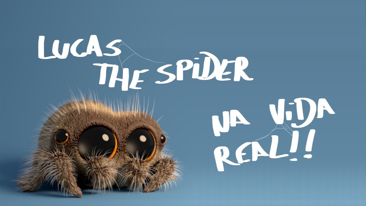 Lucas the Spider na vida real! - YouTube