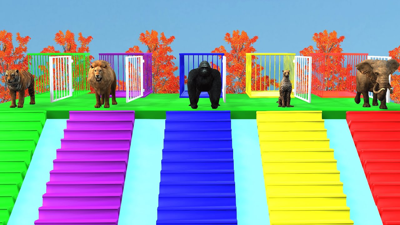 Long Slide Game With Elephant Gorilla Buffalo Hippopotamus Tiger - 3d ...