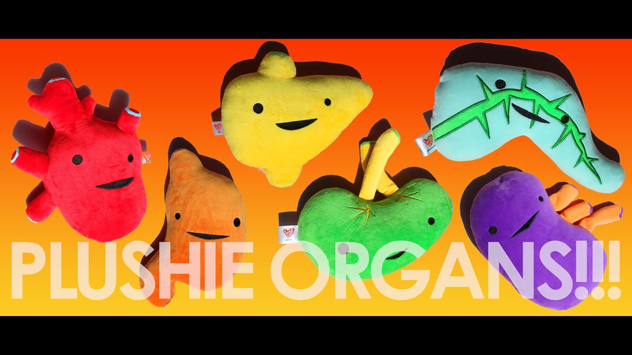 Funny Organ Plushies - Stuffed Anatomical Human Body Toys and Gifts ...