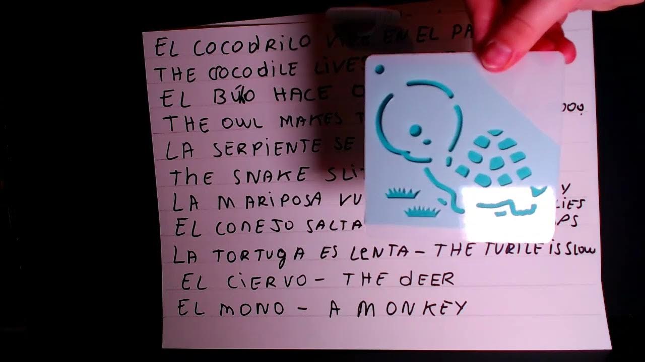 Wild Animals in Spanish - Animales Salvajes Week#5 - YouTube