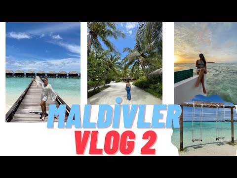 MALDİVLER'DE BALAYI (Köpek Balıkları ! , Su Üstü Villa,Masaj)|Sheraton Maldives
