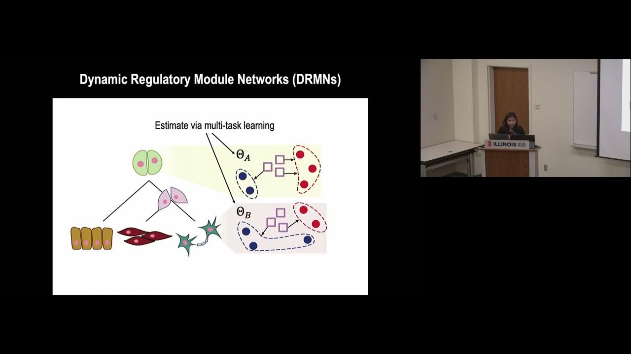 Deciphering gene regulatory networks of cell-fate specific from bulk and single cell omic data ...