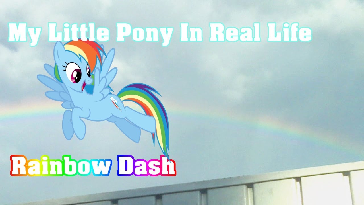 My Little Pony In Real Life (Rainbow Dash) - YouTube