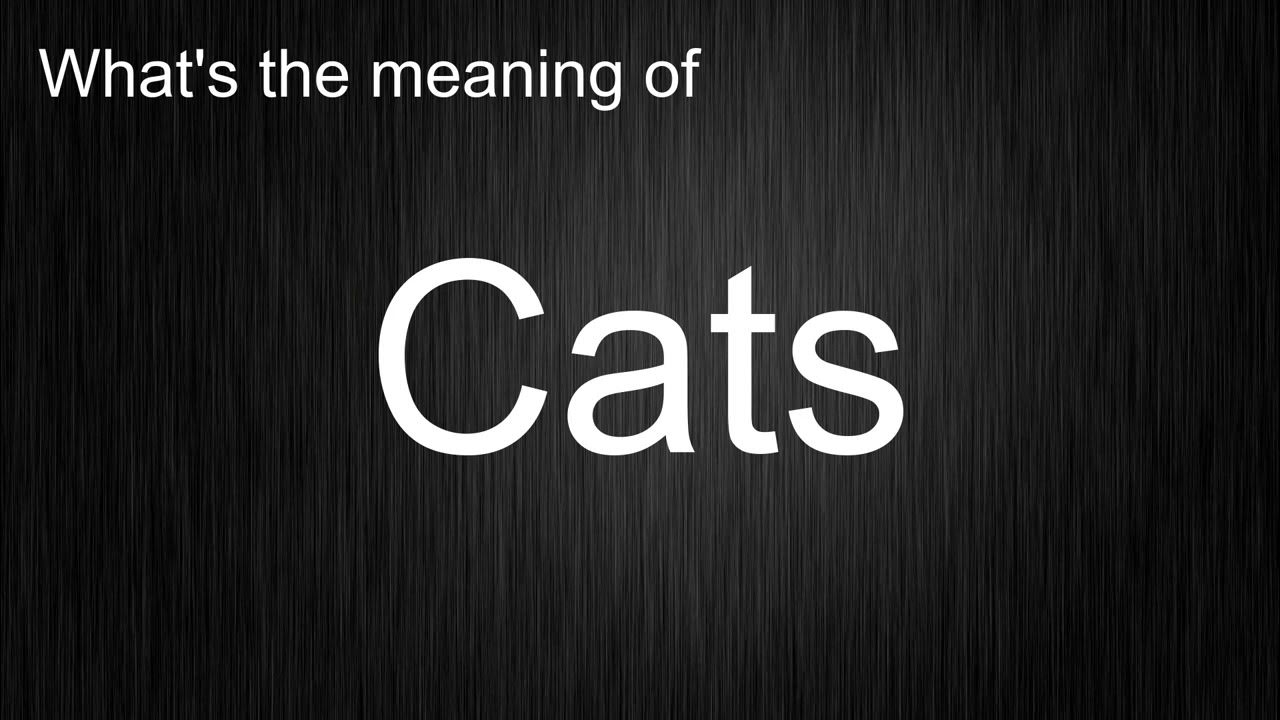 What s The Meaning Of Cats How To Pronounce Cats YouTube what-s-the-meaning-of-cats-how-to-pronounce-cats-youtube